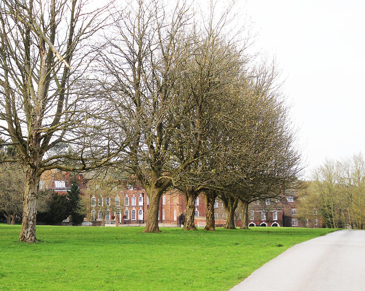 Historical Places of Interest : The Red Lion Preston